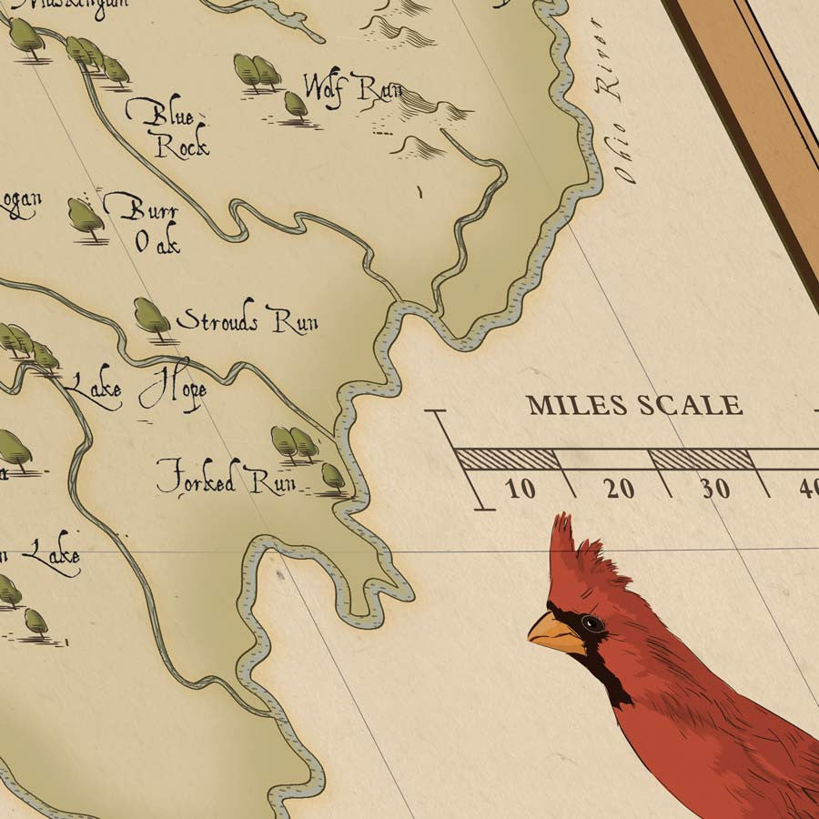 Ohio State Parks Map – thelonebison